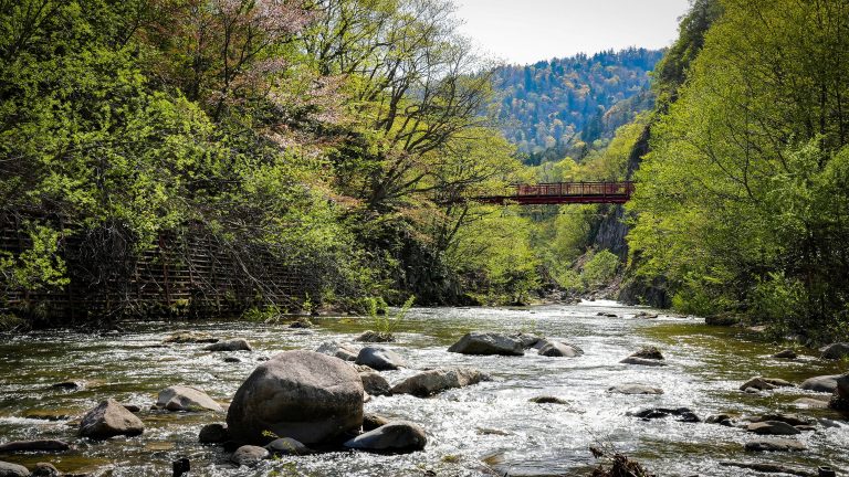 Futami Tsuribashi suspension bridge – Jozankei Tourist Association ...