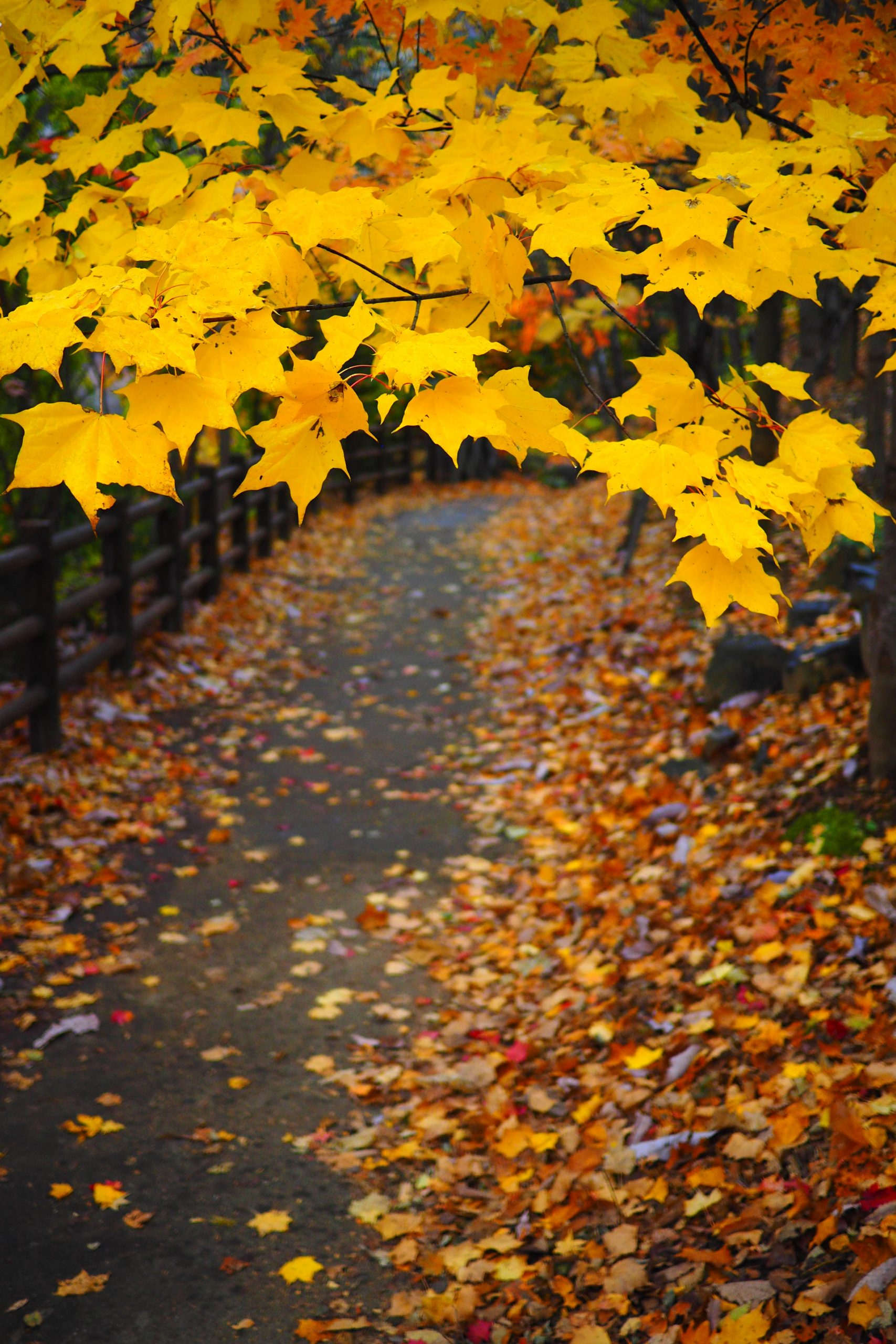 Jozankei Gensen Park – Jozankei Tourist Association Official Website