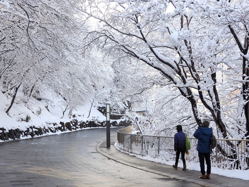 Mikaeri-zaka Slope – Jozankei Tourist Association Official Website