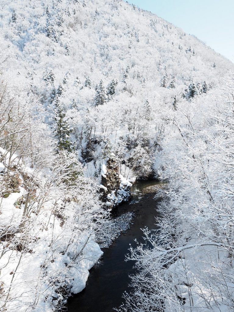 Shigurebashi bridge and Shiraigawa river – Jozankei Tourist Association ...