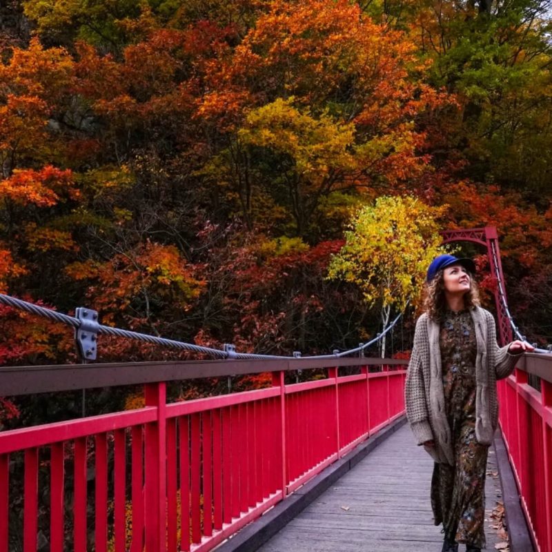 The vivid colors of autumn – Jozankei Tourist Association Official Website