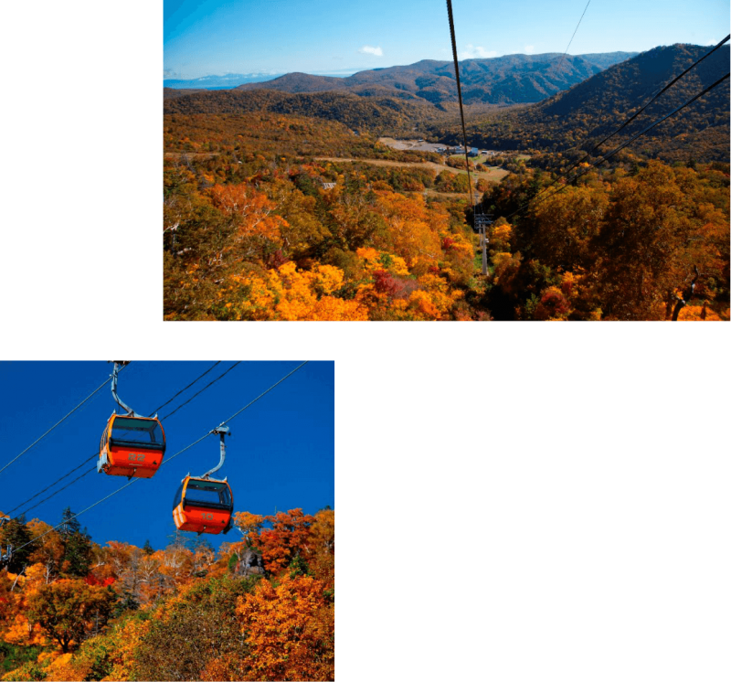 The vivid colors of autumn – Jozankei Tourist Association Official Website