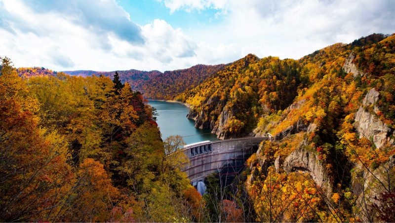 The vivid colors of autumn – Jozankei Tourist Association Official Website