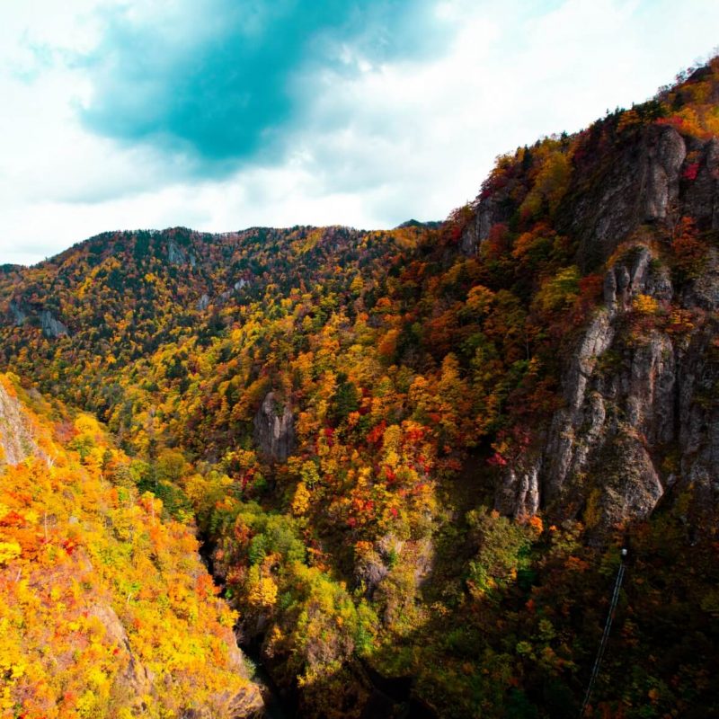 The vivid colors of autumn – Jozankei Tourist Association Official Website