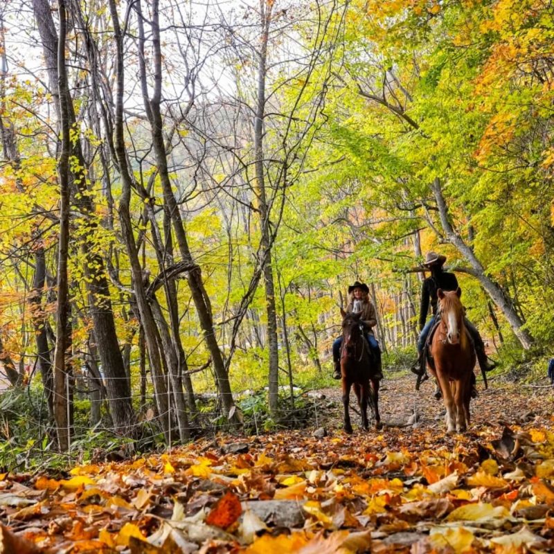 The vivid colors of autumn – Jozankei Tourist Association Official Website