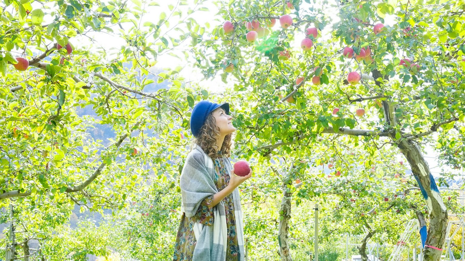 The vivid colors of autumn – Jozankei Tourist Association Official Website