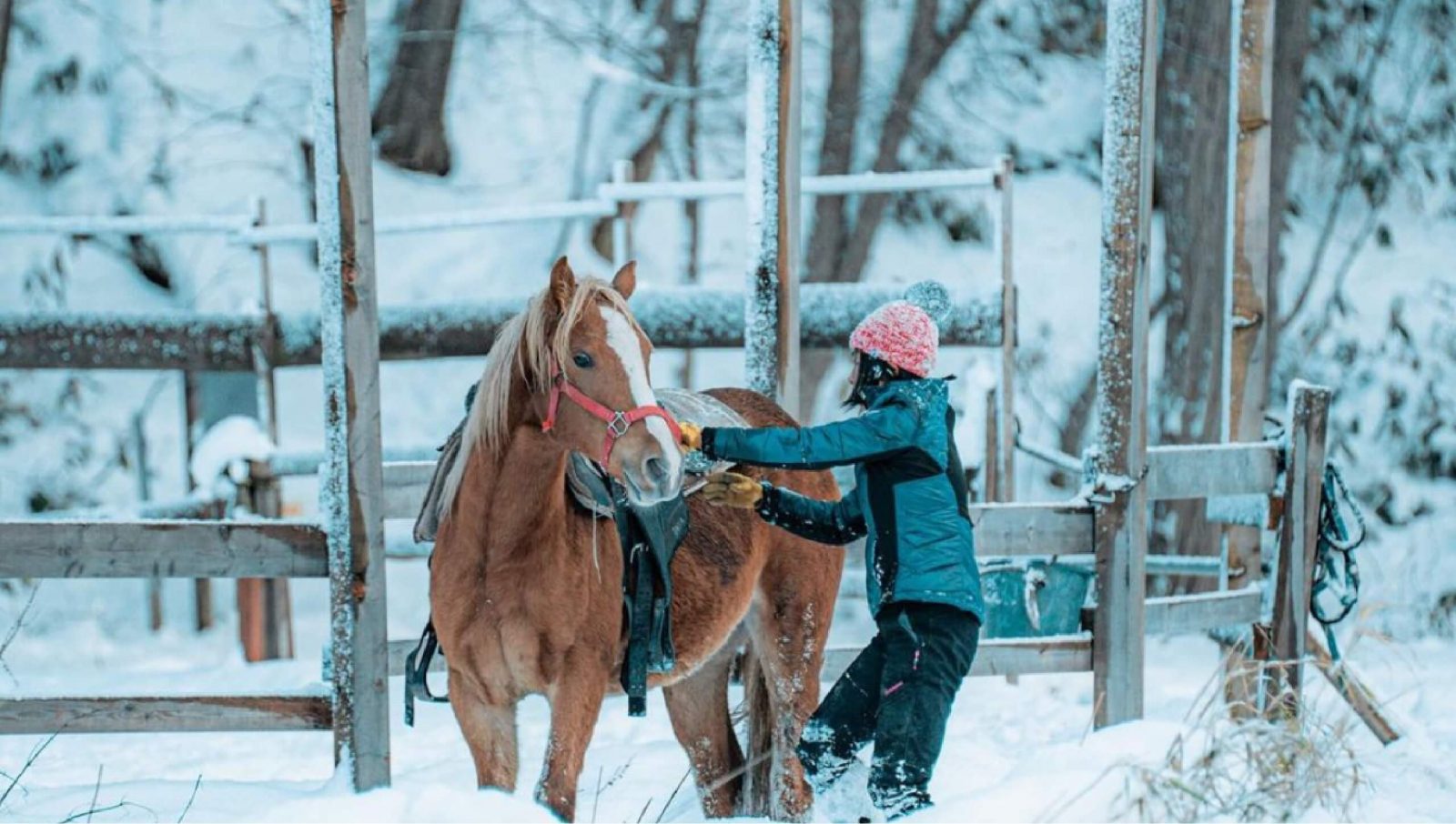 A relaxing trip to Jozankei in winter, to be soothed by nature and ...