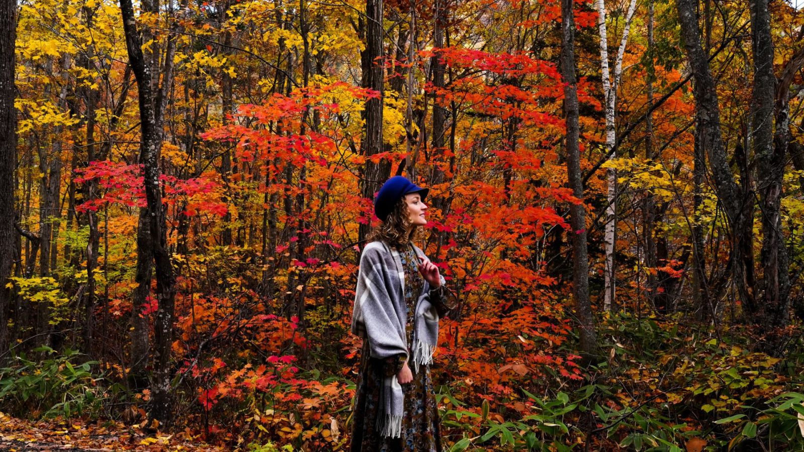 See five great views of autumn leaves in Jozankei by bus – Jozankei ...