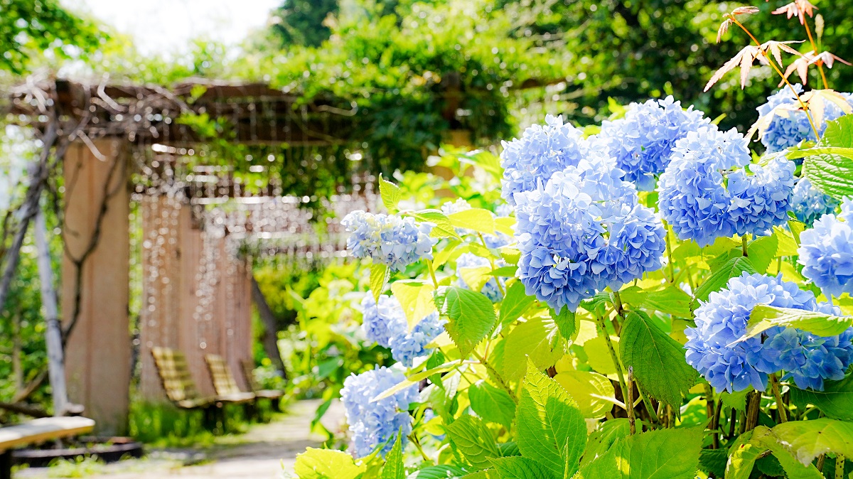 Futami Park – Jozankei Tourist Association Official Website