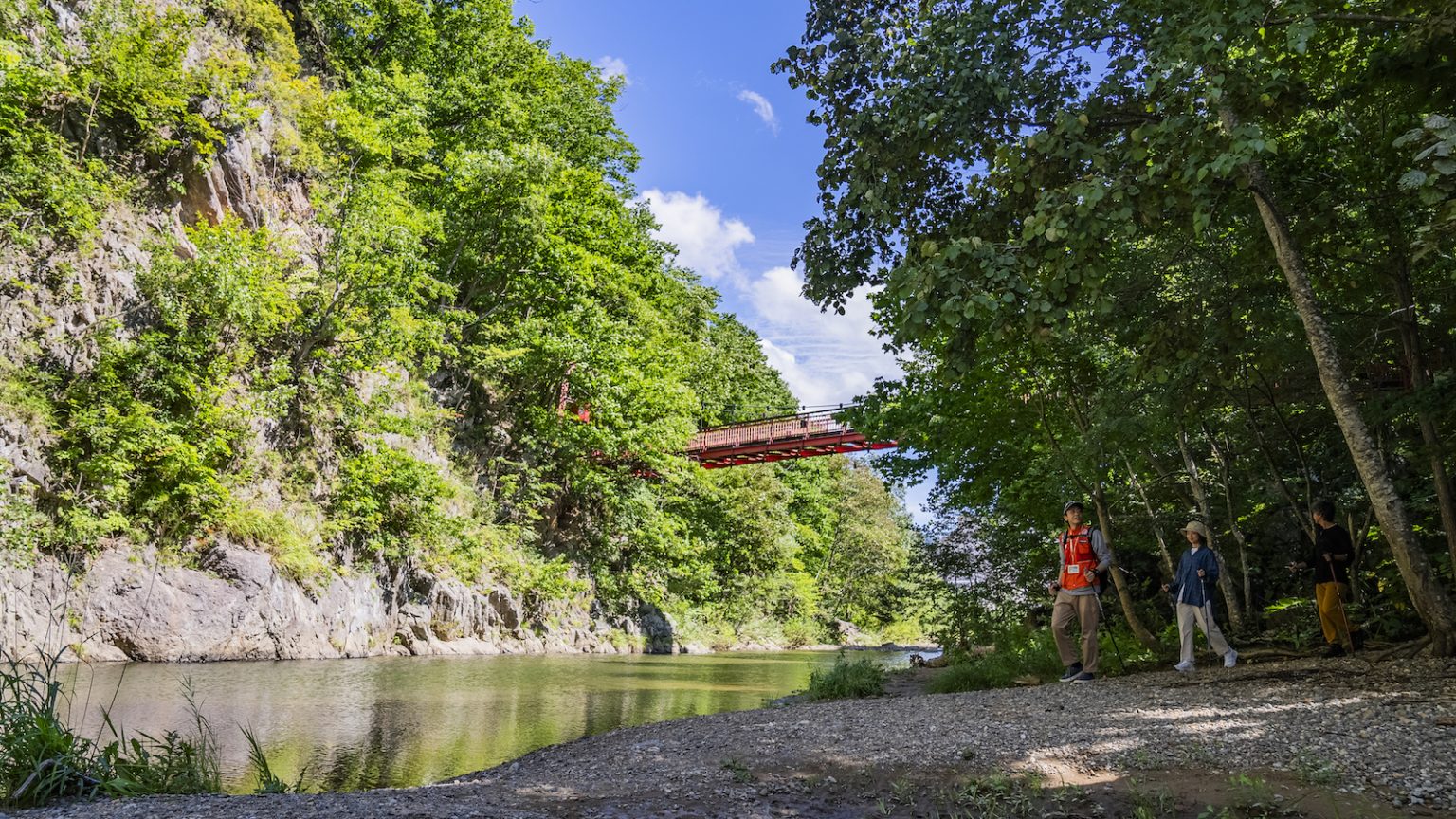 Nature walk/Nordic walk – Jozankei Tourist Association Official Website