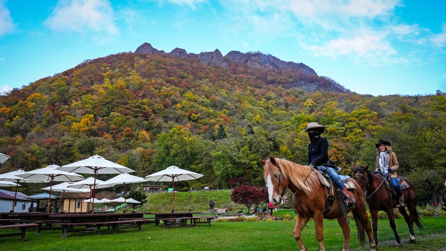 体験・アクティビティ（Enjoy JZK） – Jozankei Tourist Association Official Website