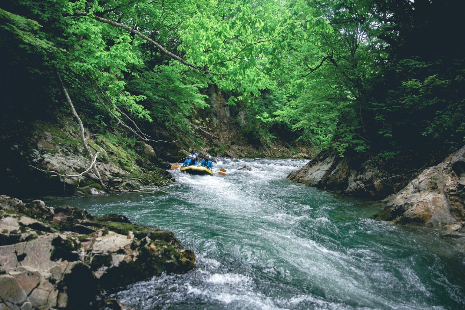 Jozankei Tourist Association Official Website