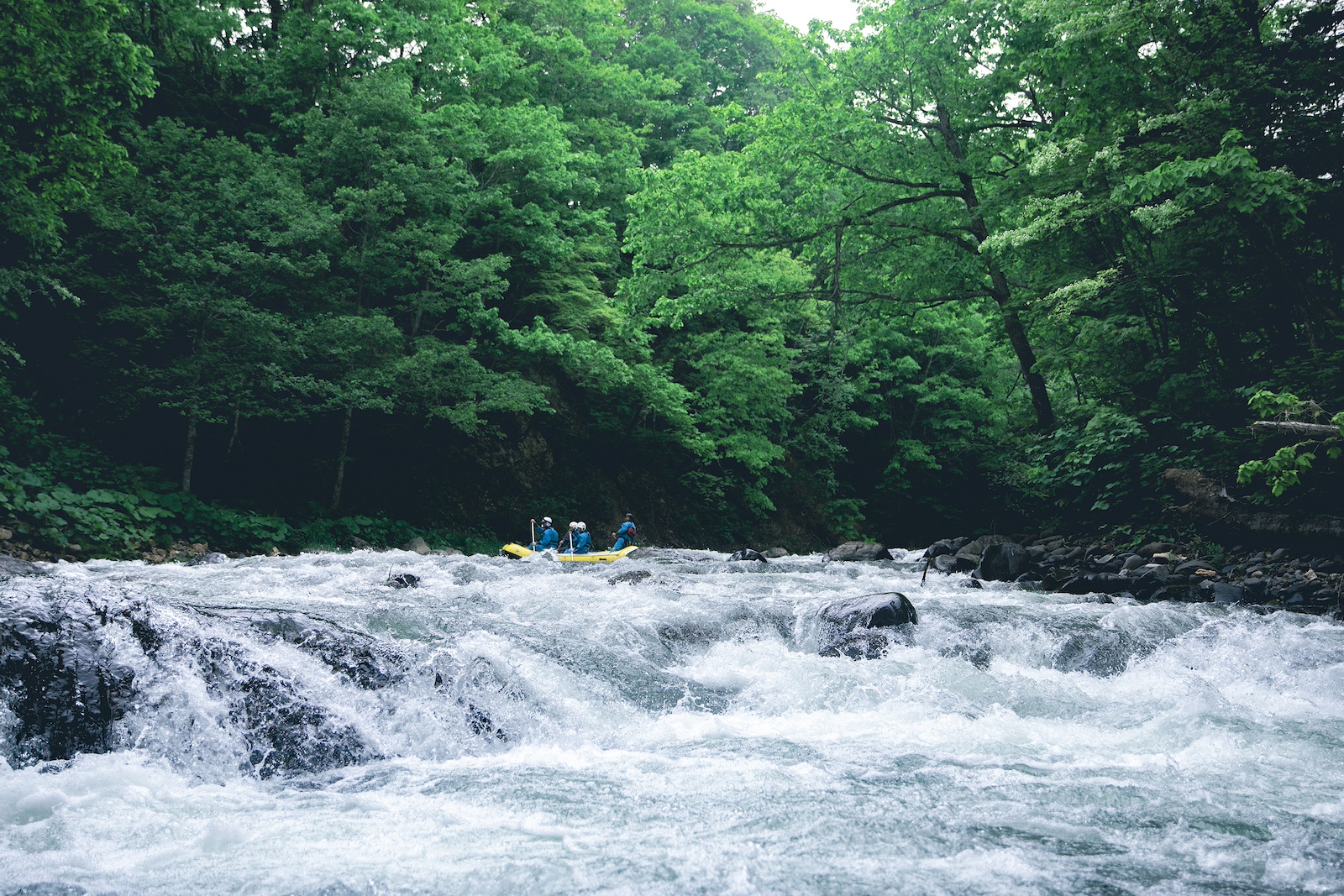 Jozankei Tourist Association Official Website