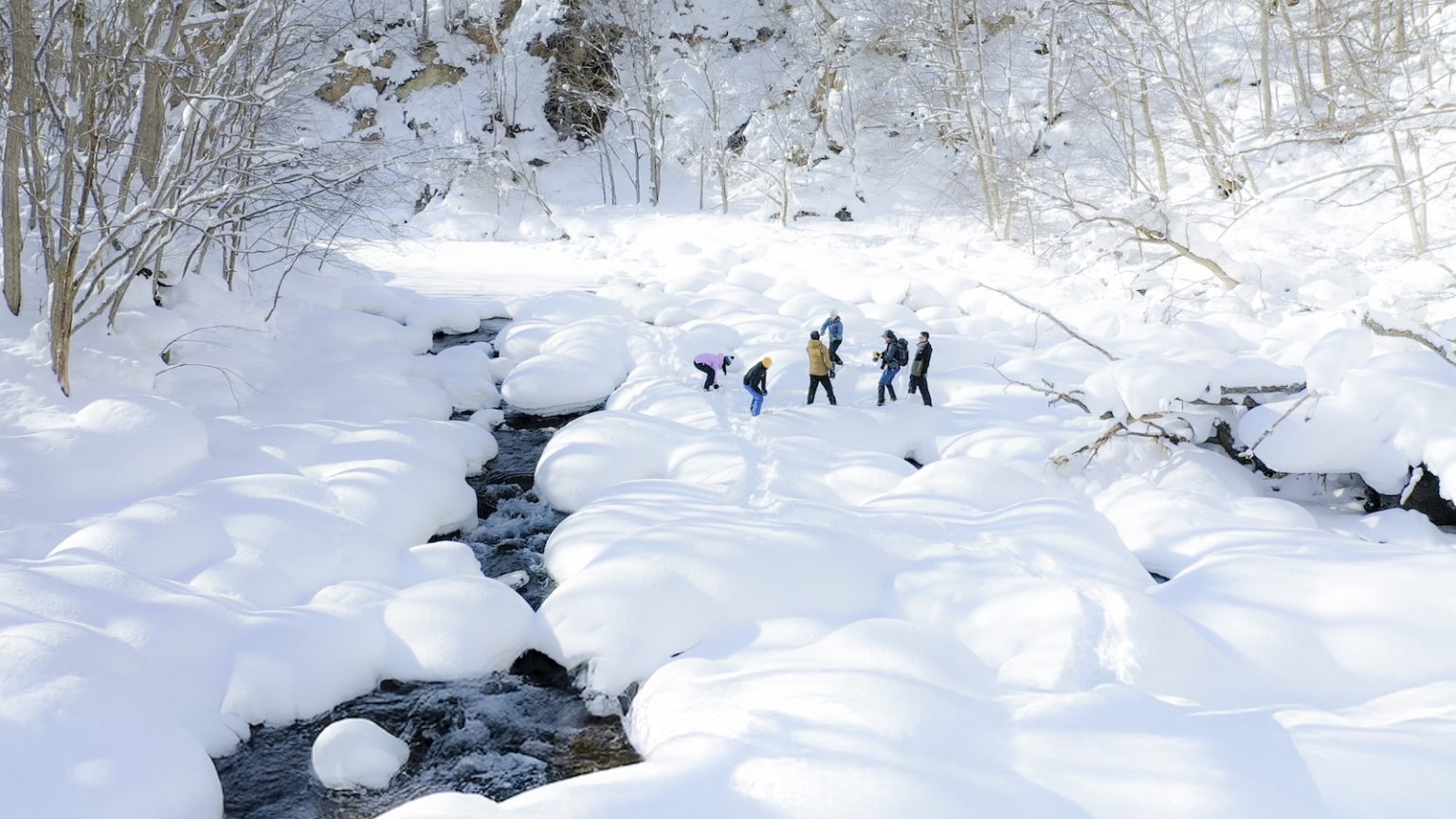 Jozankei Tourist Association Official Website