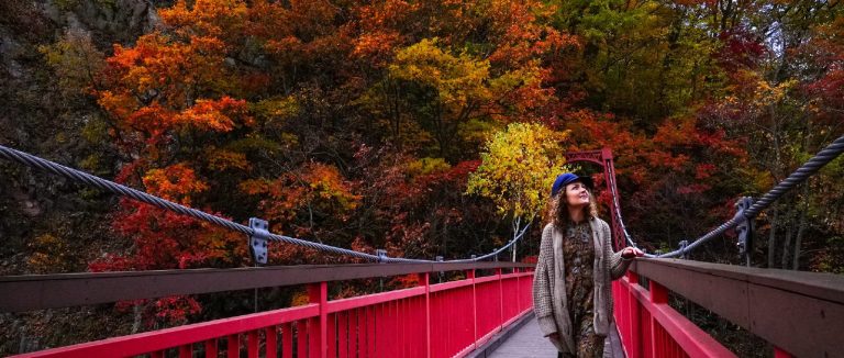 バスで行く定山渓 五大紅葉 – 定山渓観光協会公式サイト